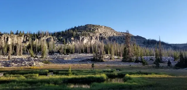 Ruth Lake - reviews,open hours,photo spots,things to do | WanderBoat AI ...