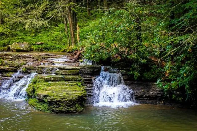 Camp Creek State Park & Forest - reviews,open hours,photo spots,things ...