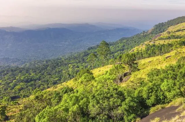 Cardamom Hills in Kerala, India - reviews,open hours,photo spots,things ...