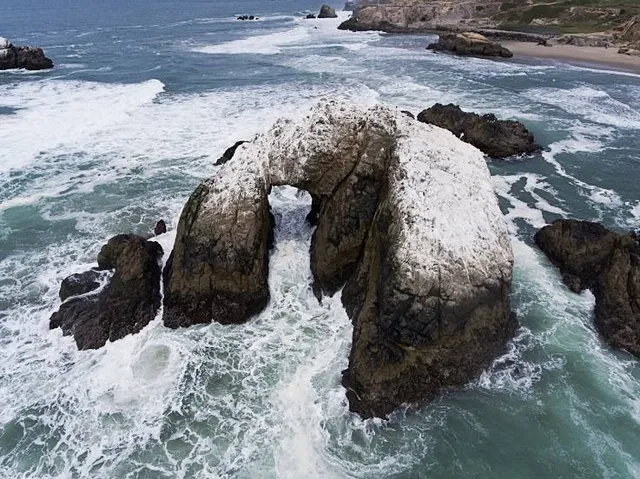 Seal Rocks - reviews,open hours,photo spots,things to do | WanderBoat ...