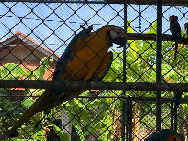 Bird Park & Bird Research Center - Hambantota - reviews,open hours ...