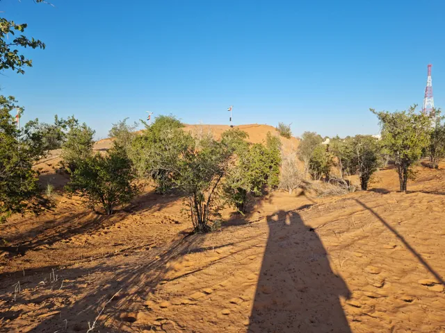 Al Hayer Lake Park in Al Hiyar, United Arab Emirates - reviews,open ...