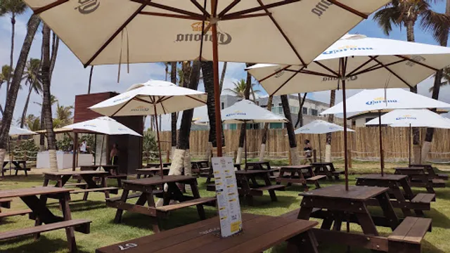 O Timoneiro - reviews,open hours,photo spots, things to do | WanderBoat ...
